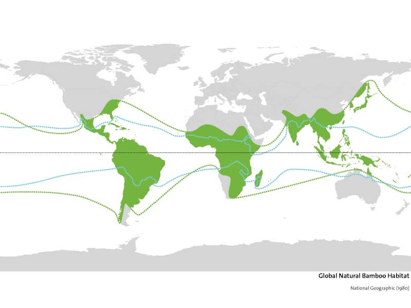 Bambú: el acero vegetal | Arquitectura Sostenible